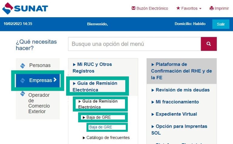 Emitir Guía de remisión electrónica 2024 | Obligados Sunat